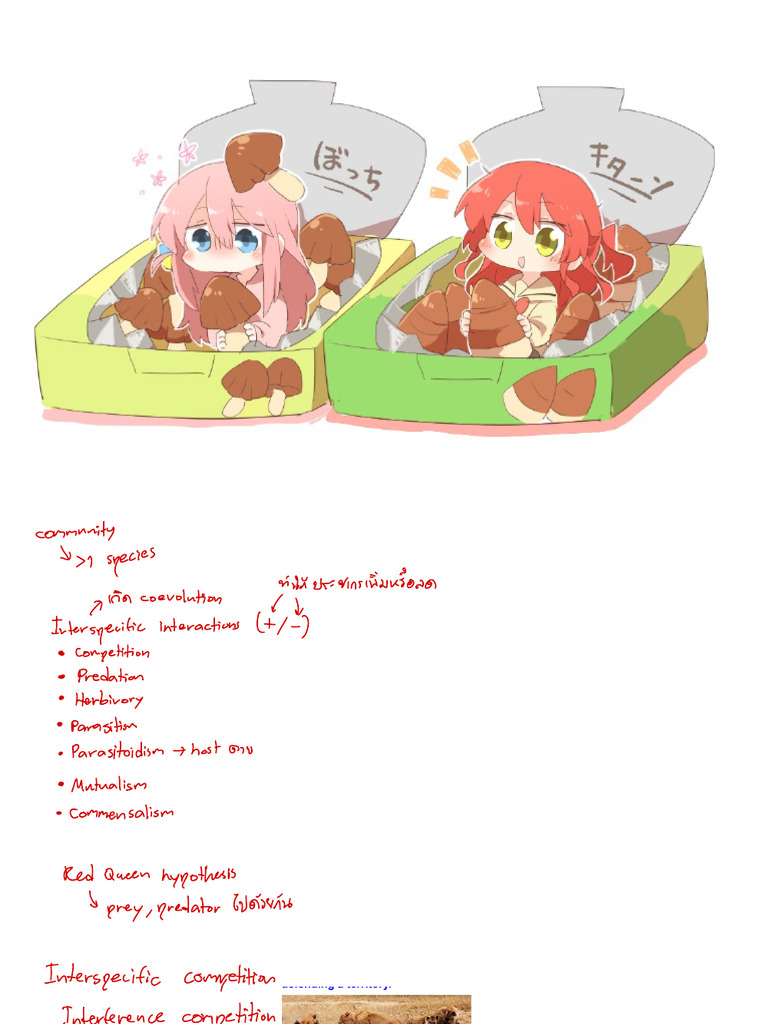 Eco 3 | PDF | Ecological Niche | Predation