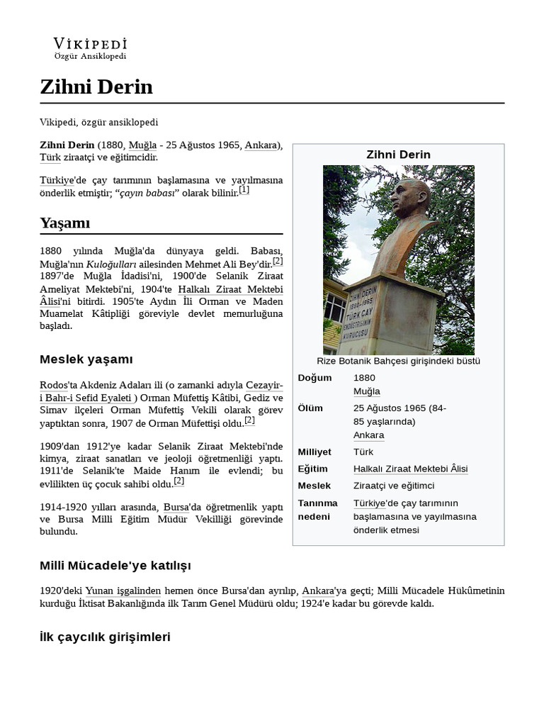 Zihni Derin | PDF