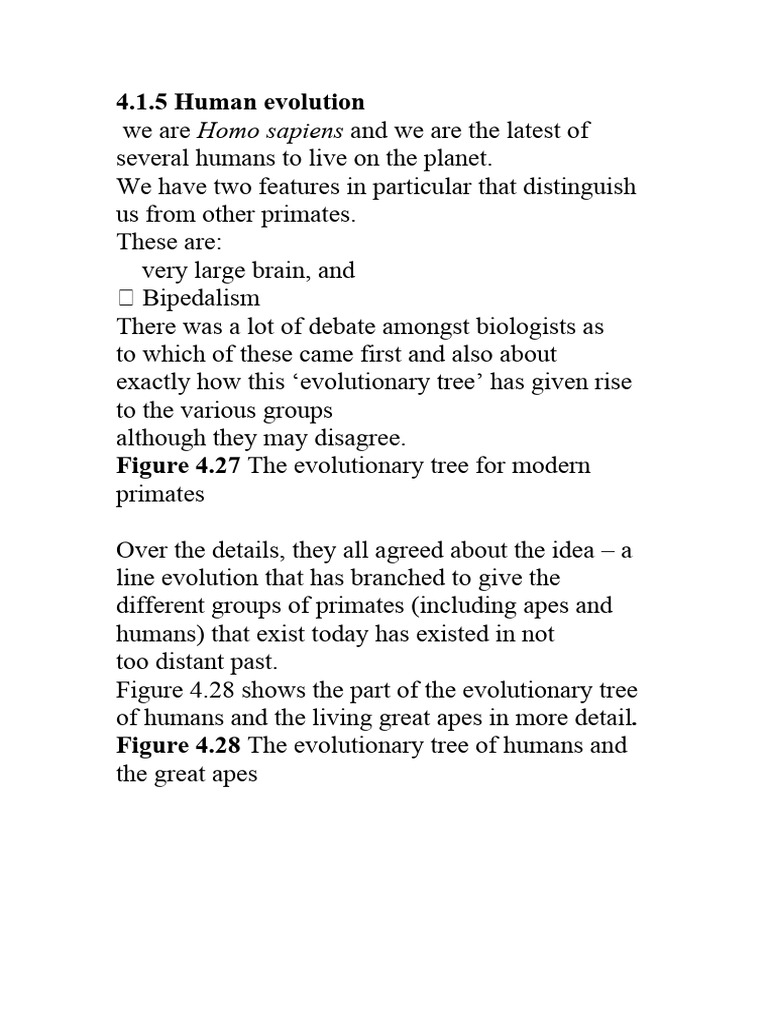 Unit 4he Final Part | PDF | Lucy (Australopithecus) | Point Mutation