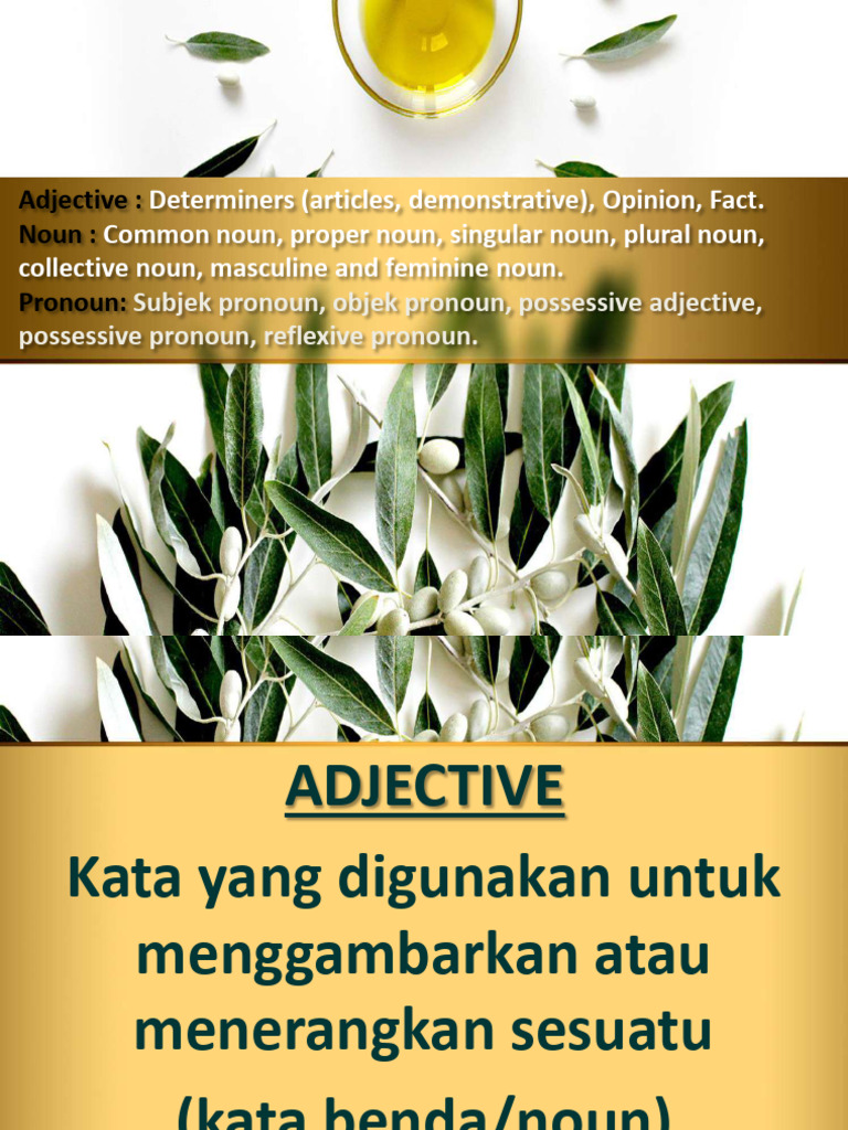 Adjective Noun Pronoun | PDF | Pronoun | Grammatical Gender