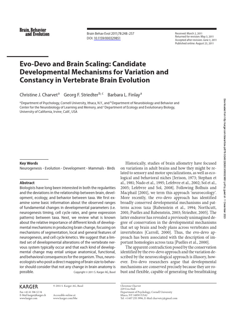 Evo-Devo and Brain Scaling | PDF | Brain | Neurogenesis