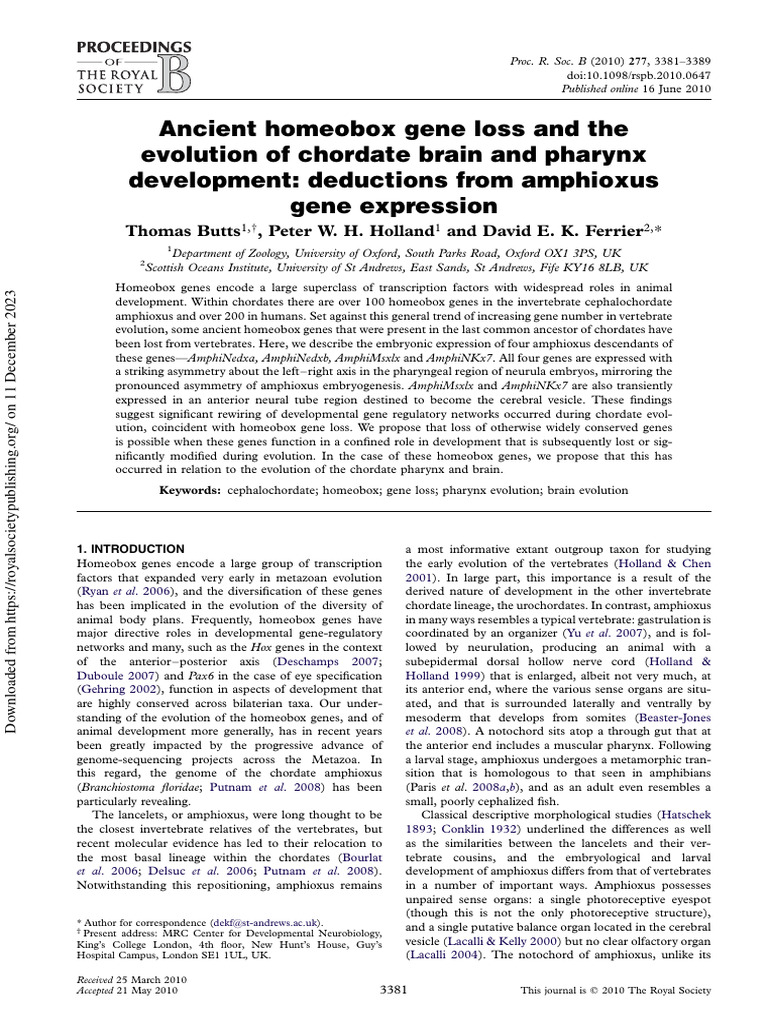 Butts Et Al 2010 Ancient Homeobox Gene Loss and The Evolution of ...