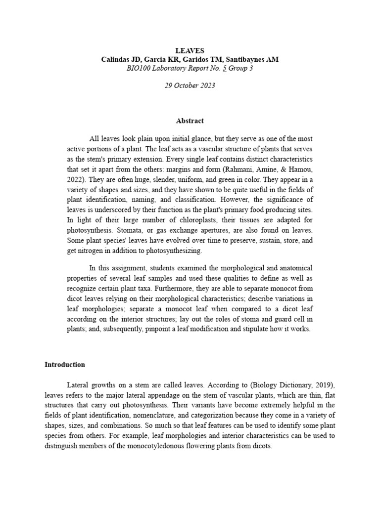 LEAVES Lab Act | PDF | Leaf | Stoma