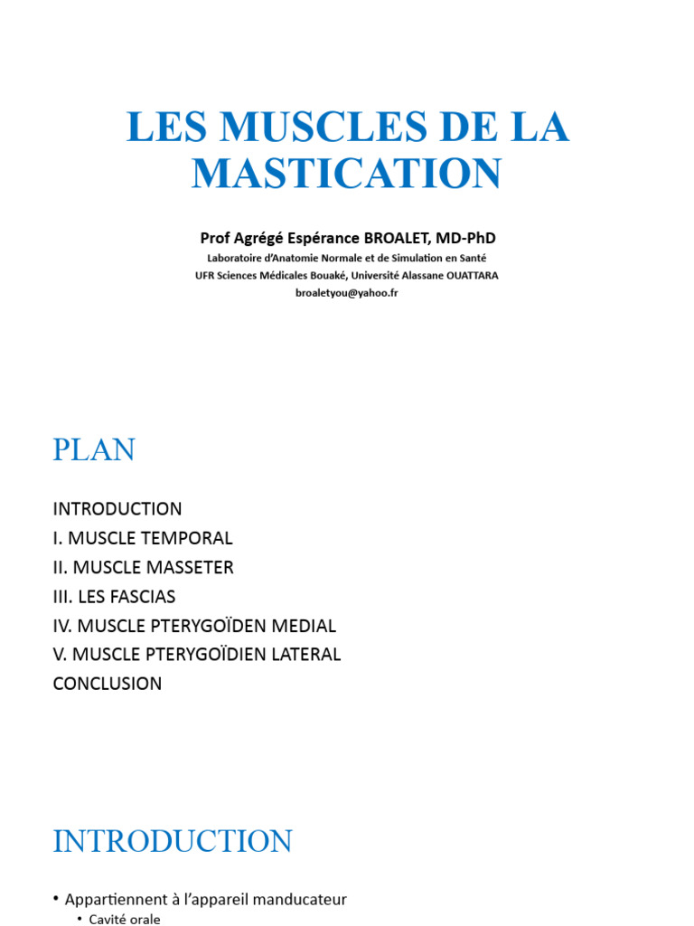 Muscles de la Mastication: Anatomie et Fonction | PDF | Système ...