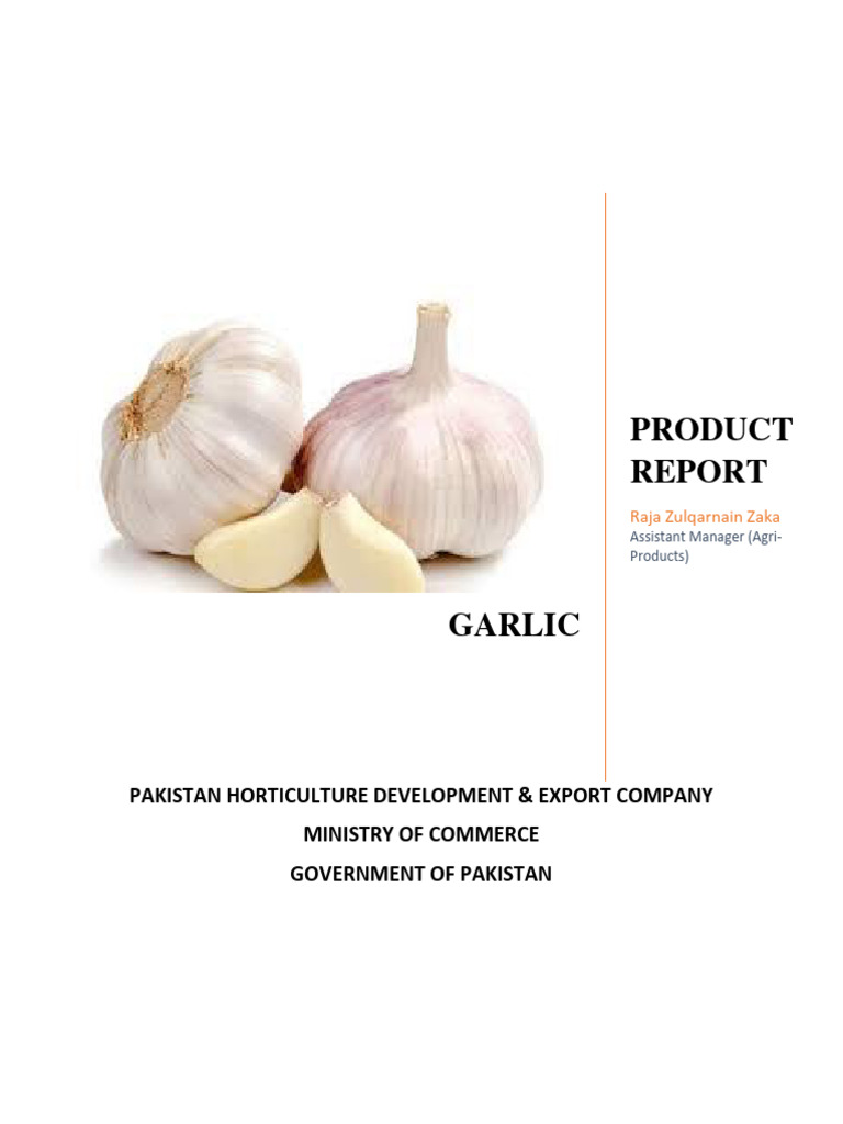 Product Report Garlic | PDF | Garlic
