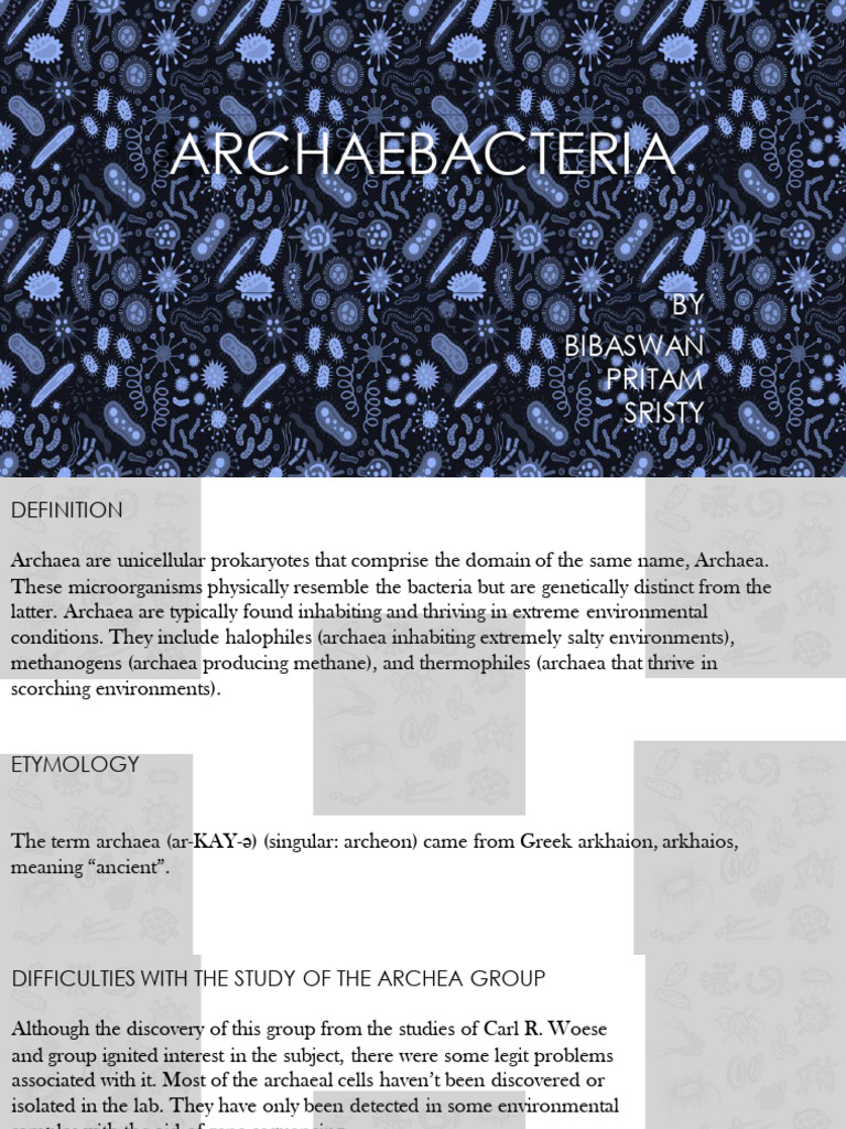Archaebacteria: BY Bibaswan Pritam Sristy | PDF | Archaea | Bacteria