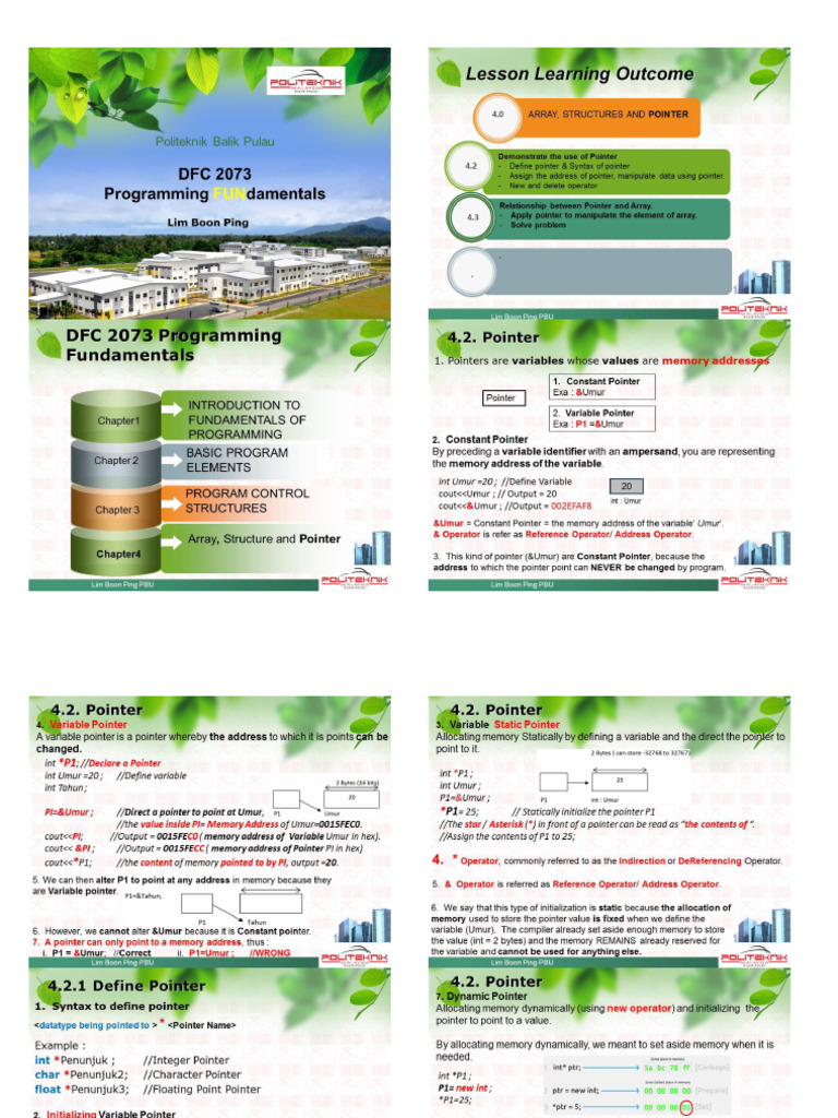 Chap 4 CPointer | PDF