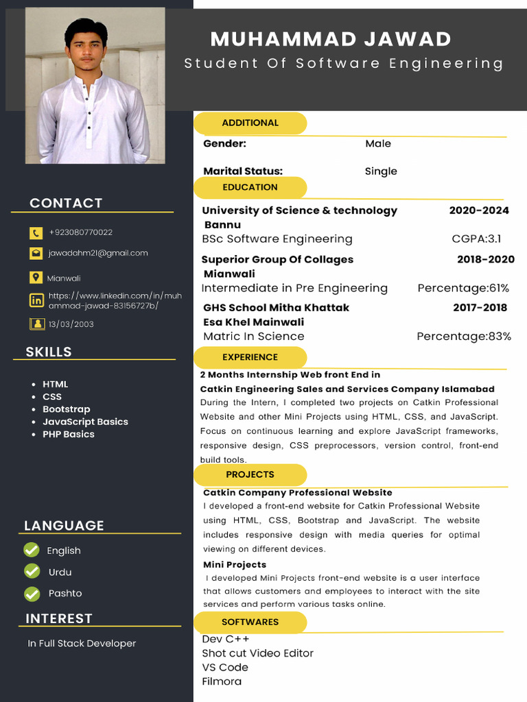 Resume 11 | PDF