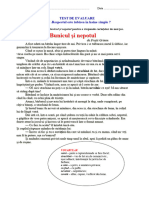 CD PRESS - MANUAL AVAP - III - Planificare | PDF
