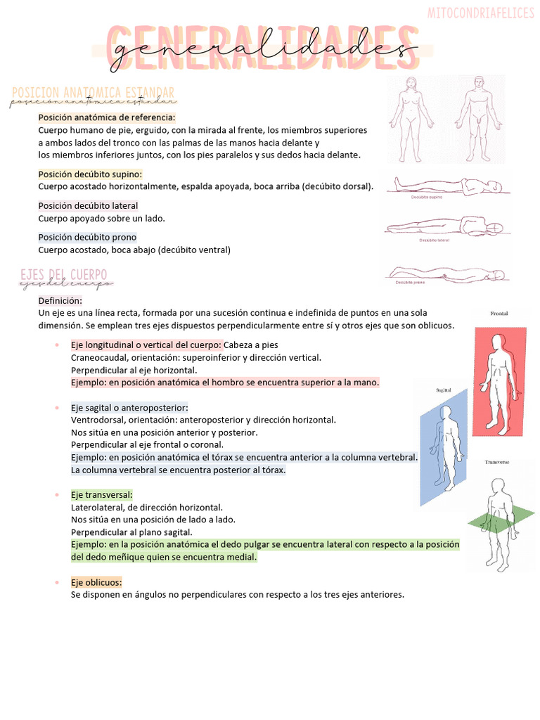 Generalidades 1 | PDF | Articulación | Hueso