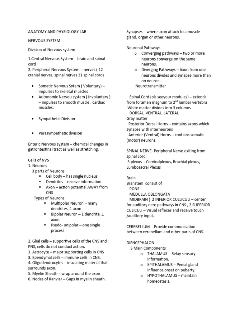 Reviewer 3 | PDF | Central Nervous System | Nervous System