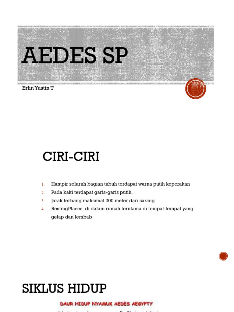 Aedes SP | PDF