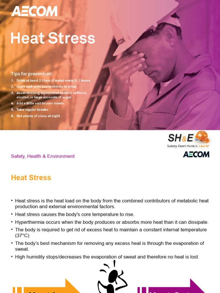 Heat Stress Presentation 2012 | PDF | Hyperthermia | Dehydration