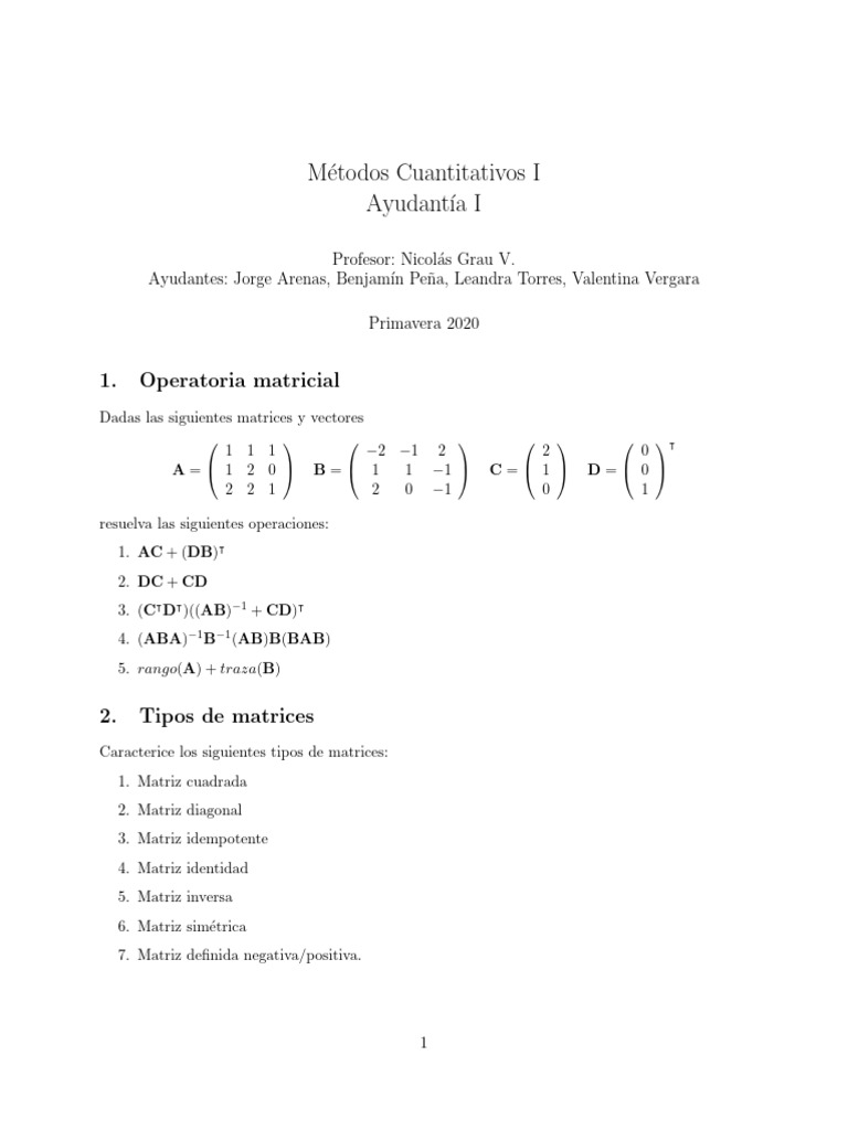 Ayudantia Matrices Pauta | PDF | Matriz (Matemáticas) | Funciones y mapeos