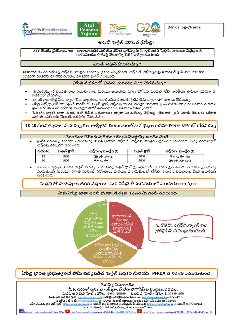 APY Flyer - Telugu | PDF