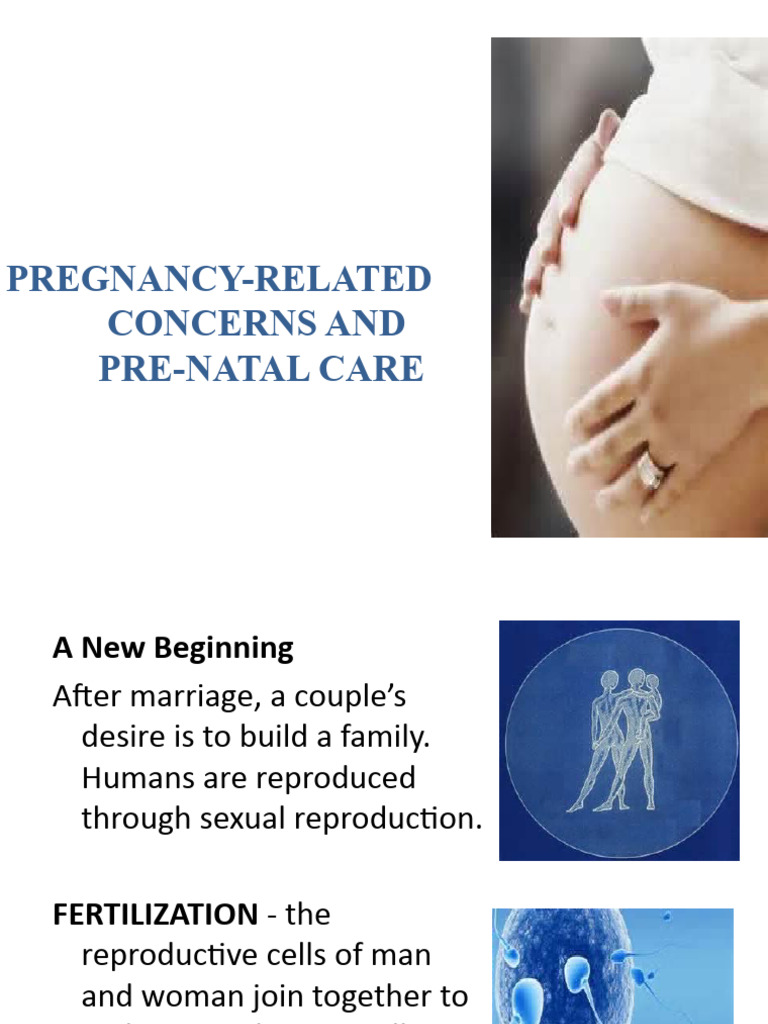 Lesson2 Pregnancyandotherrelatedconcern 201115061810 | PDF | Pregnancy | Prenatal Development