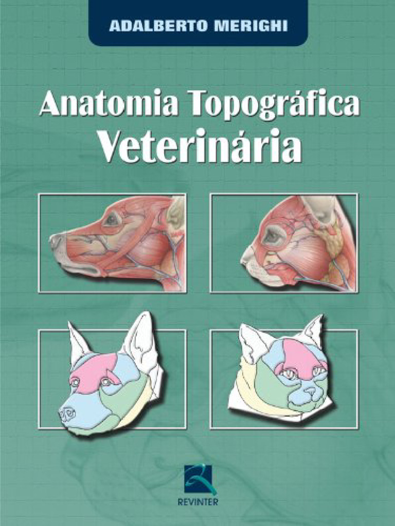 Anatomia Topográfica Veterinária | PDF