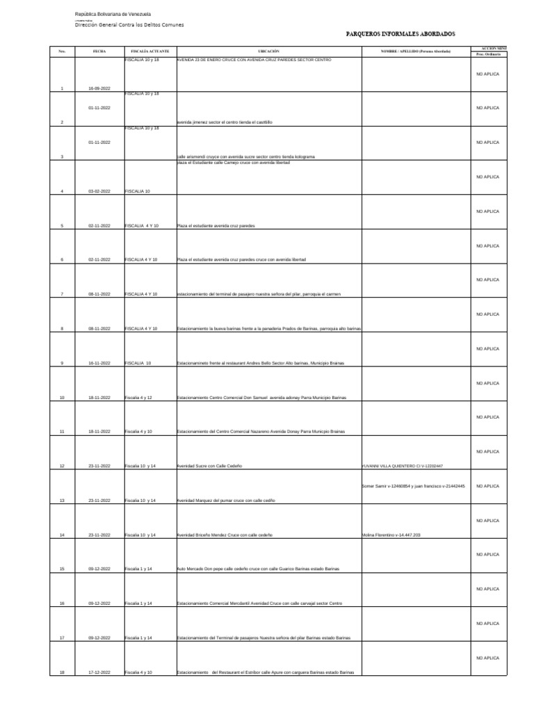 Informe sobre Parqueros Informales | PDF