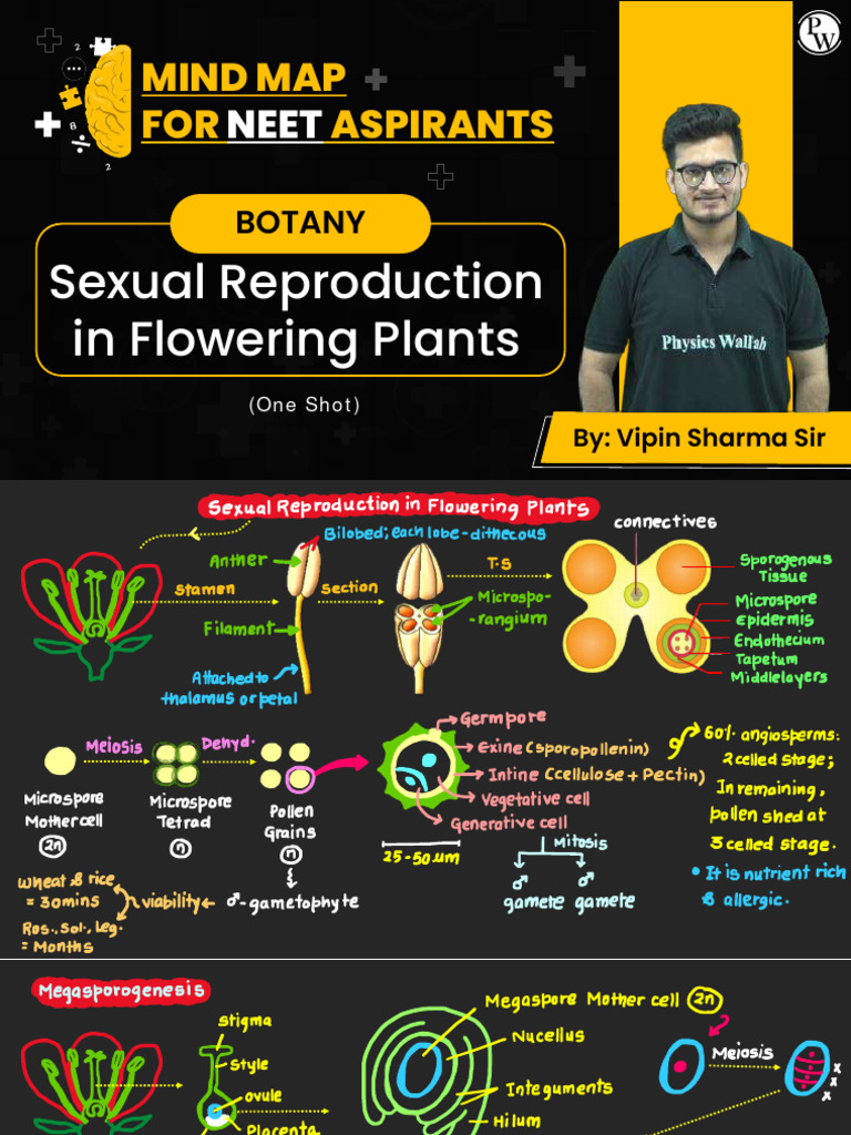NEET Botany: Plant Reproduction Guide | PDF