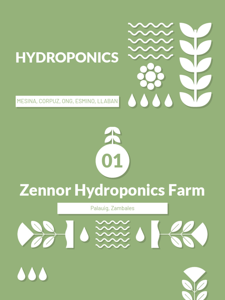 _Group 3 Hydroponics | PDF | Hydroponics | Agriculture