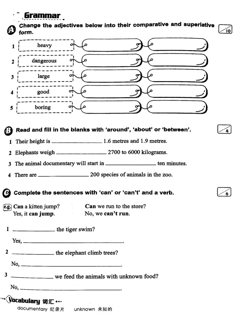 Unit 3 English Essay Pdf