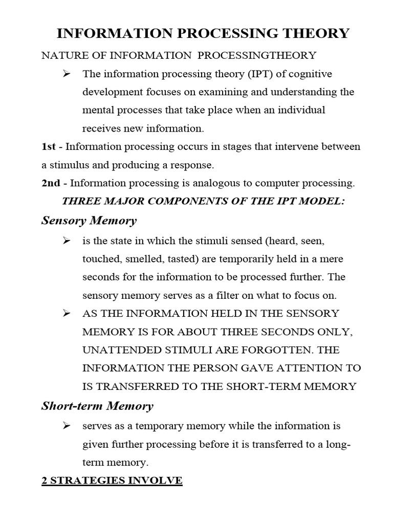 Information Processing Theory | PDF | Memory | Neuroscience