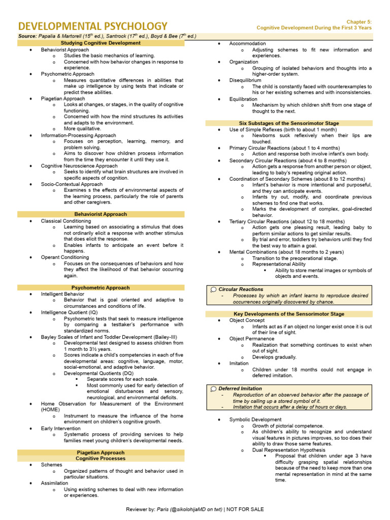 DEVPSYCH 5 - Cognitive Development During The First 3 Years | PDF | Language Development | Word