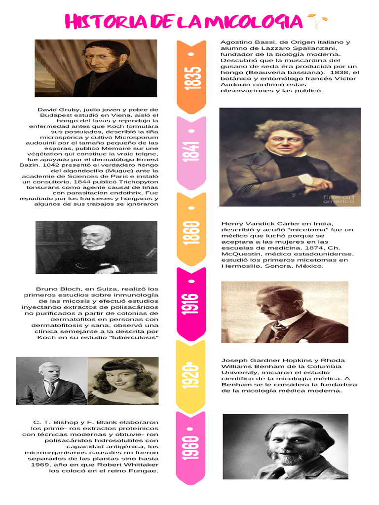 Infografía Timeline Evolución y Proceso de Empresa Estilo Moderno Color ...