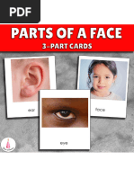 Montessori Children Around The World Cards | PDF | Travel