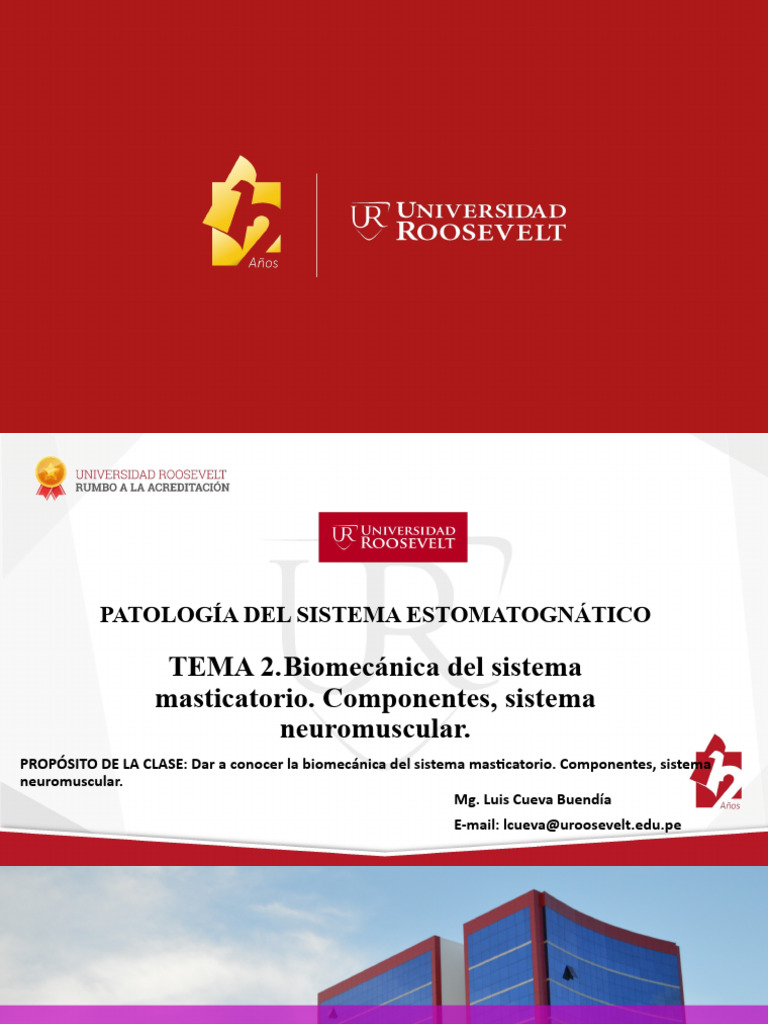 2da CLASE Semana 2 PSE VIRTUAL - Clase Completa 2024-I | PDF | Cabeza y ...
