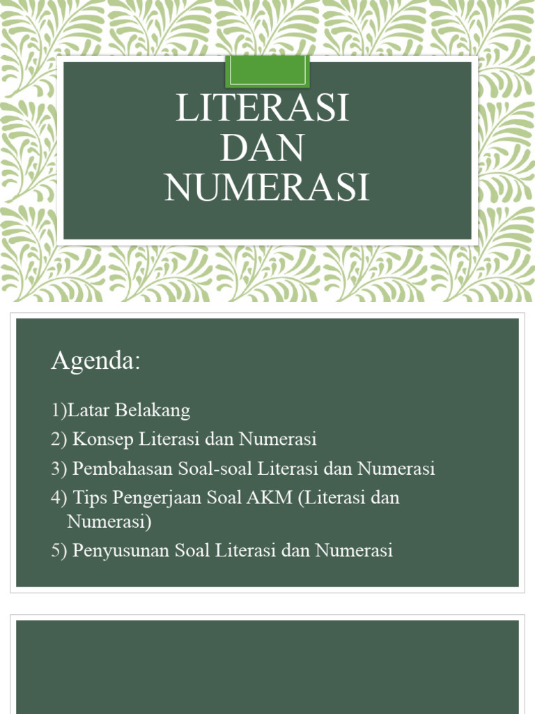 Konsep Literasi Dan Numerasi | PDF