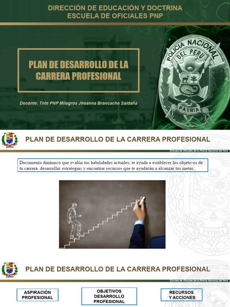Plan de La Carrera Profesional | PDF | Policía | Institución