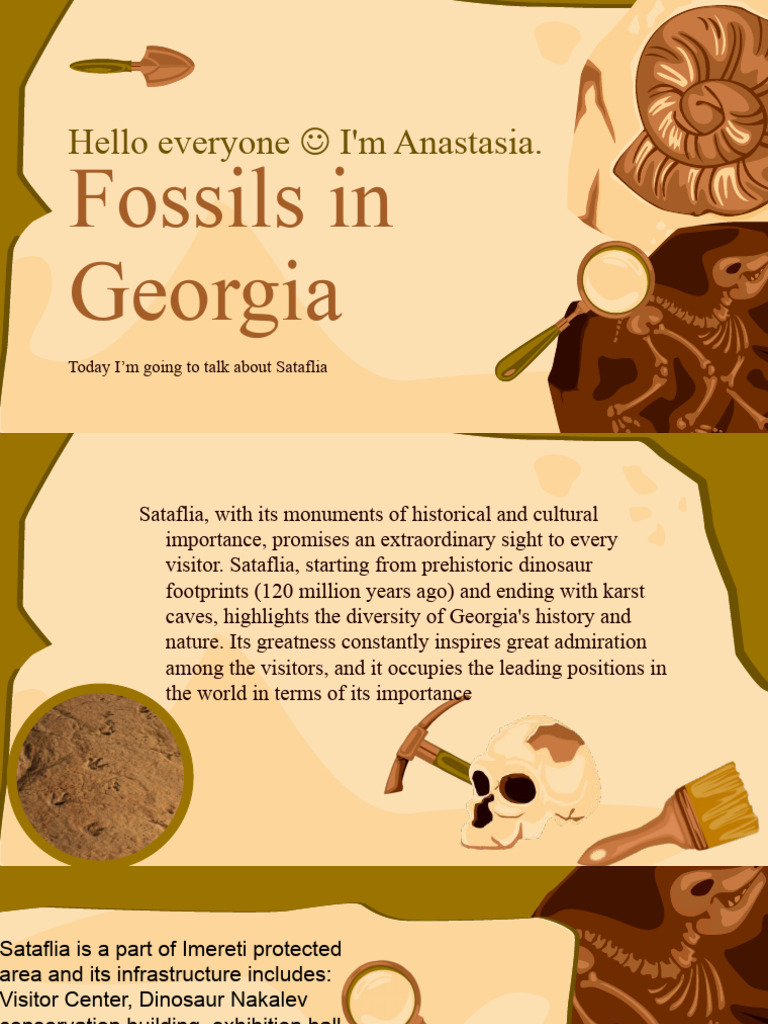 Fossils in Georgia (Anastasia Khutsishvili) | PDF | Home & Garden