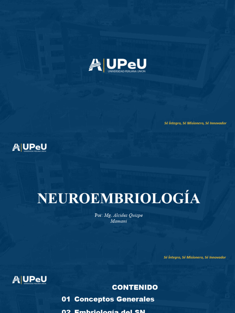 2PPT DC Neuroembriología | PDF | Sistema nervioso | Embrión