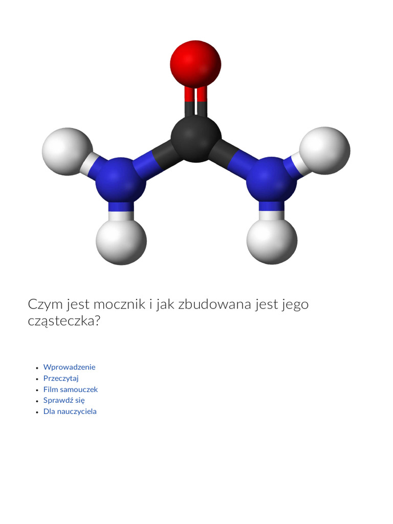Czym Jest Mocznik I Jak Zbudowana Jest Jego Czasteczka | PDF Czym Jest Mocznik I Jak Zbudowana Jest Jego Czasteczka | PDF