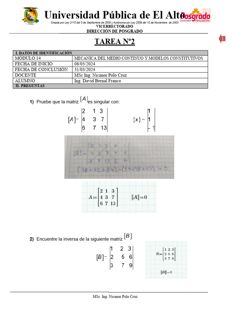 TAREA Nº2 | PDF | Matriz (Matemáticas) | Rotación