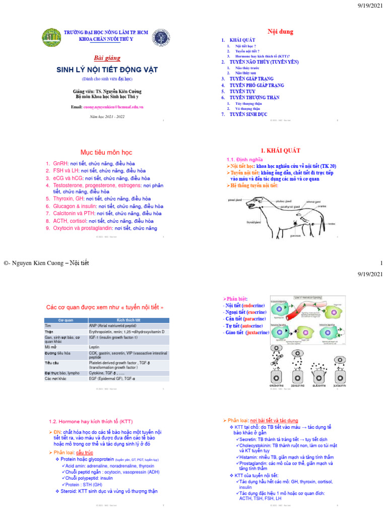 SL Noi Tiet 2021-2022 | PDF