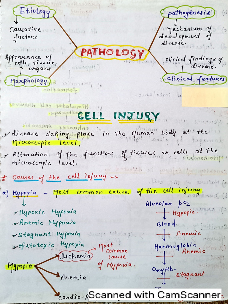 Cell Injury Pathology | PDF