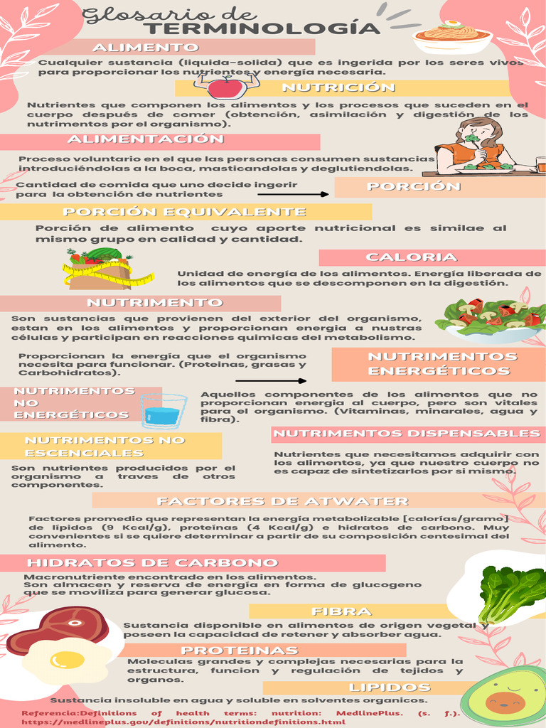 Infografía Conceptos de Alimentación | PDF | Nutrientes | Alimentos