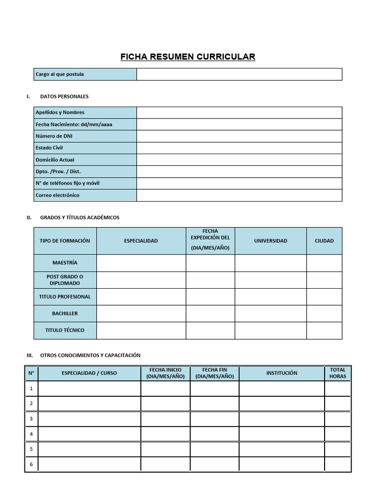 Ficha Resumen Curricular | PDF