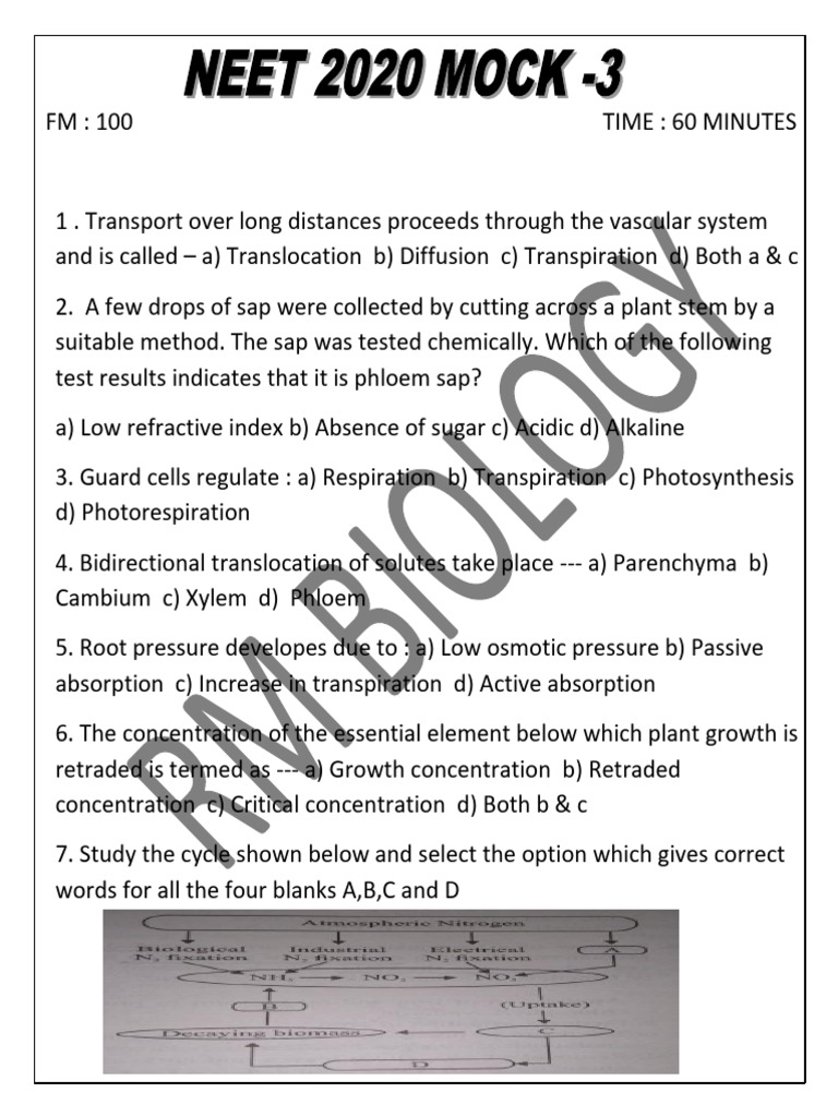 Neet Mock 3 | PDF | Photosynthesis | Biology
