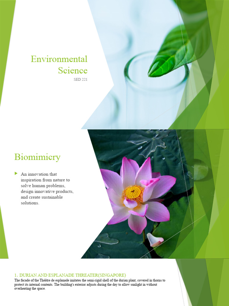 Envi Powerpoint | PDF