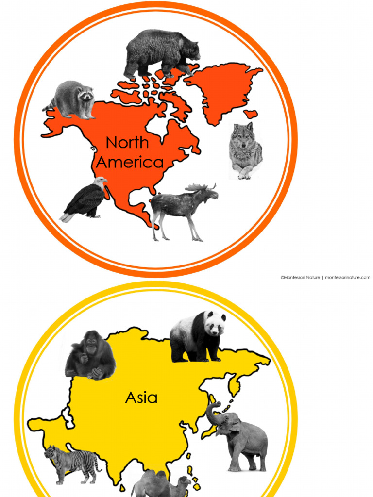 Animals of The Continents | PDF | Computers