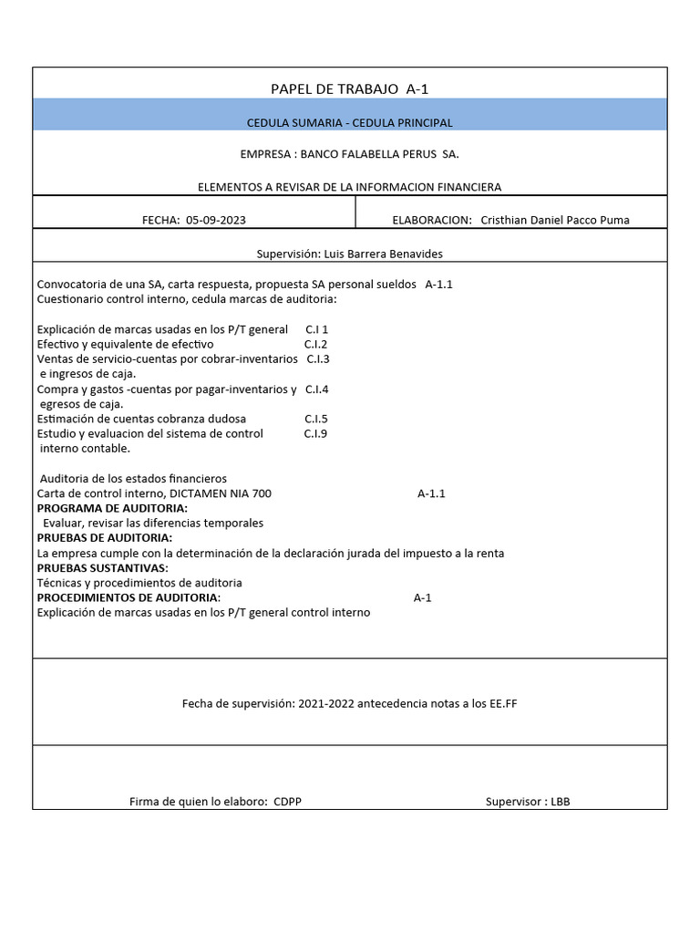Cedula Sumaria | PDF | Auditoría | Contabilidad