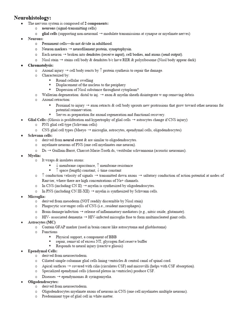 Neurology 1 Download Free Pdf Axon Ischemia