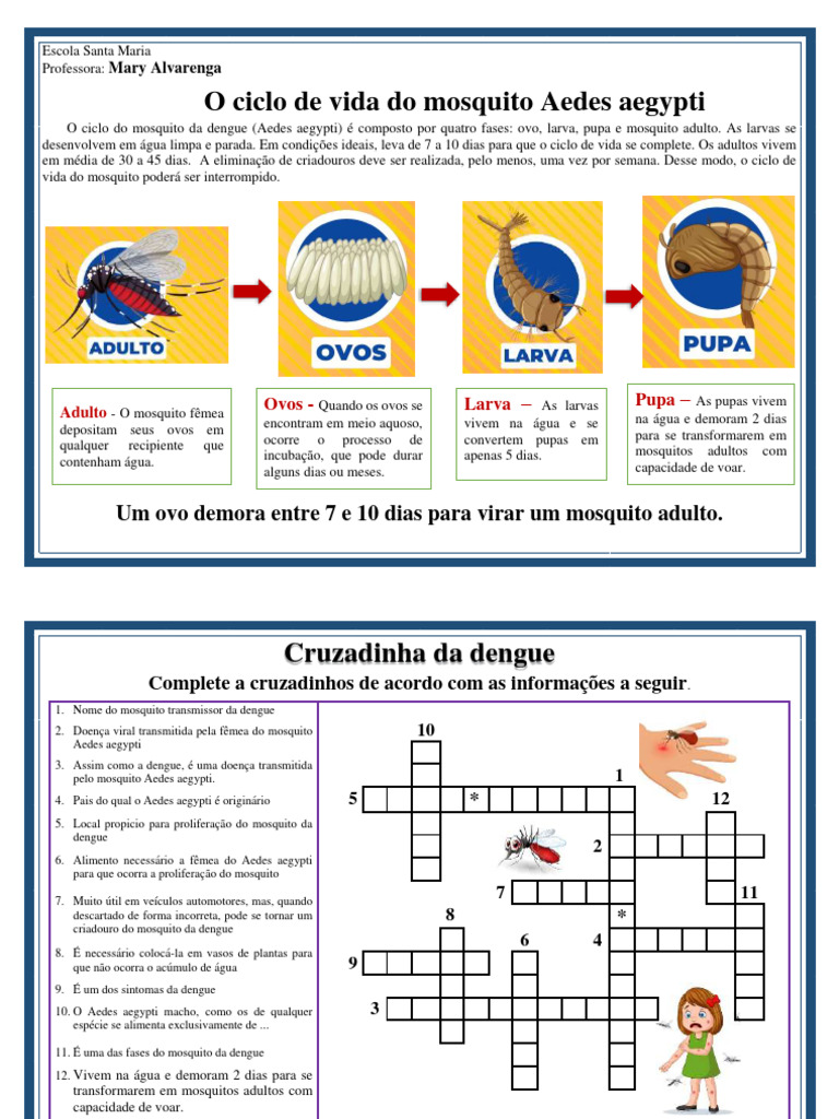 Ciclo de Vida Do Mosquito Aedes Aepypti e Cruzadinha | PDF | Aedes aegypti | Mosquito