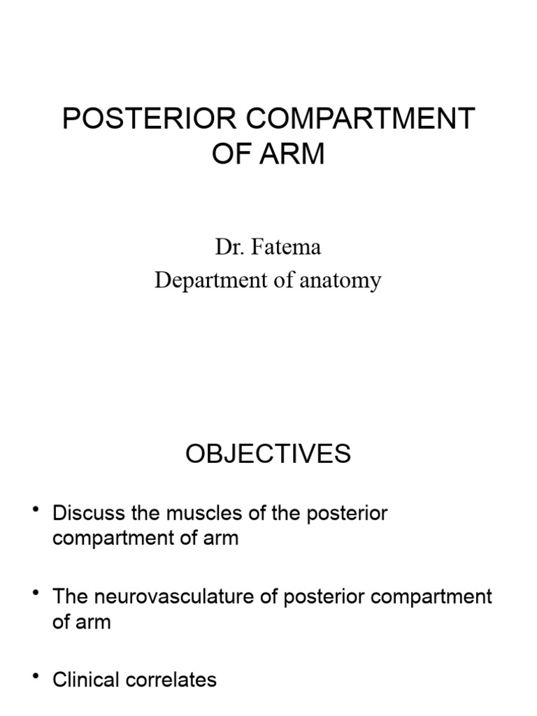 Posterior Compartment of Arm 9 Mar 2024 | PDF | Arm | Elbow