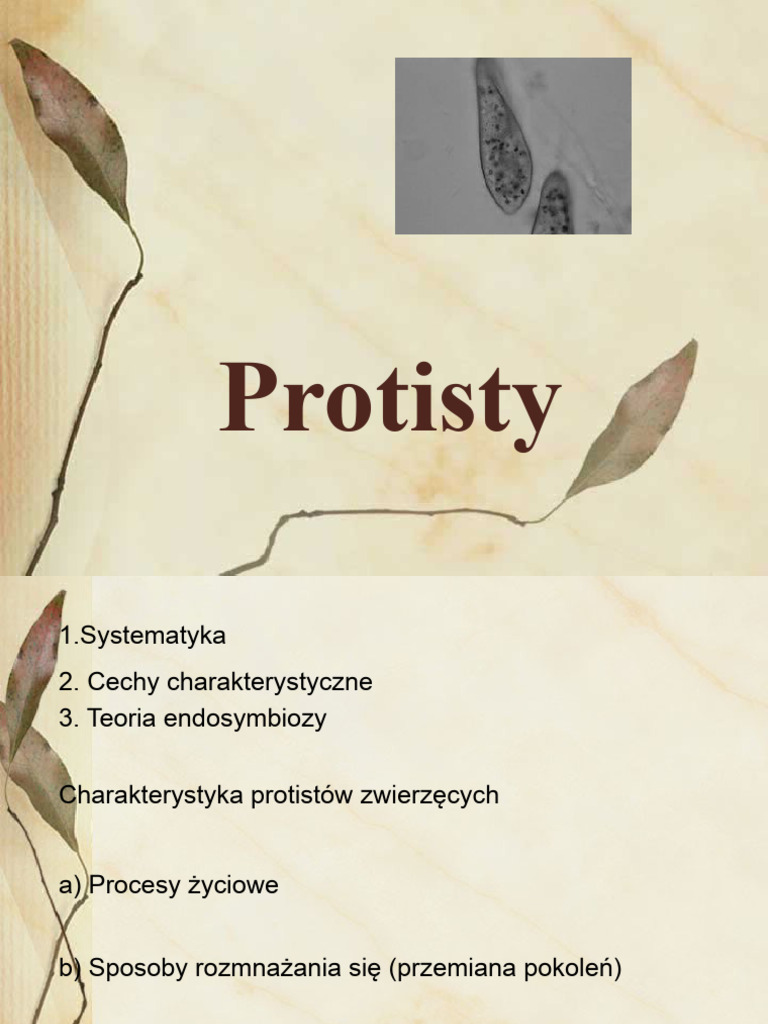 Protisty Zwierzece Moje | PDF