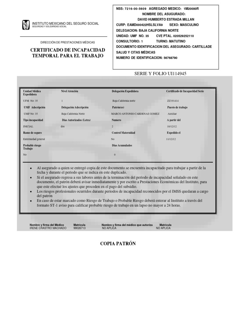 Formato22 Incapacidad Imss Editable Word | PDF