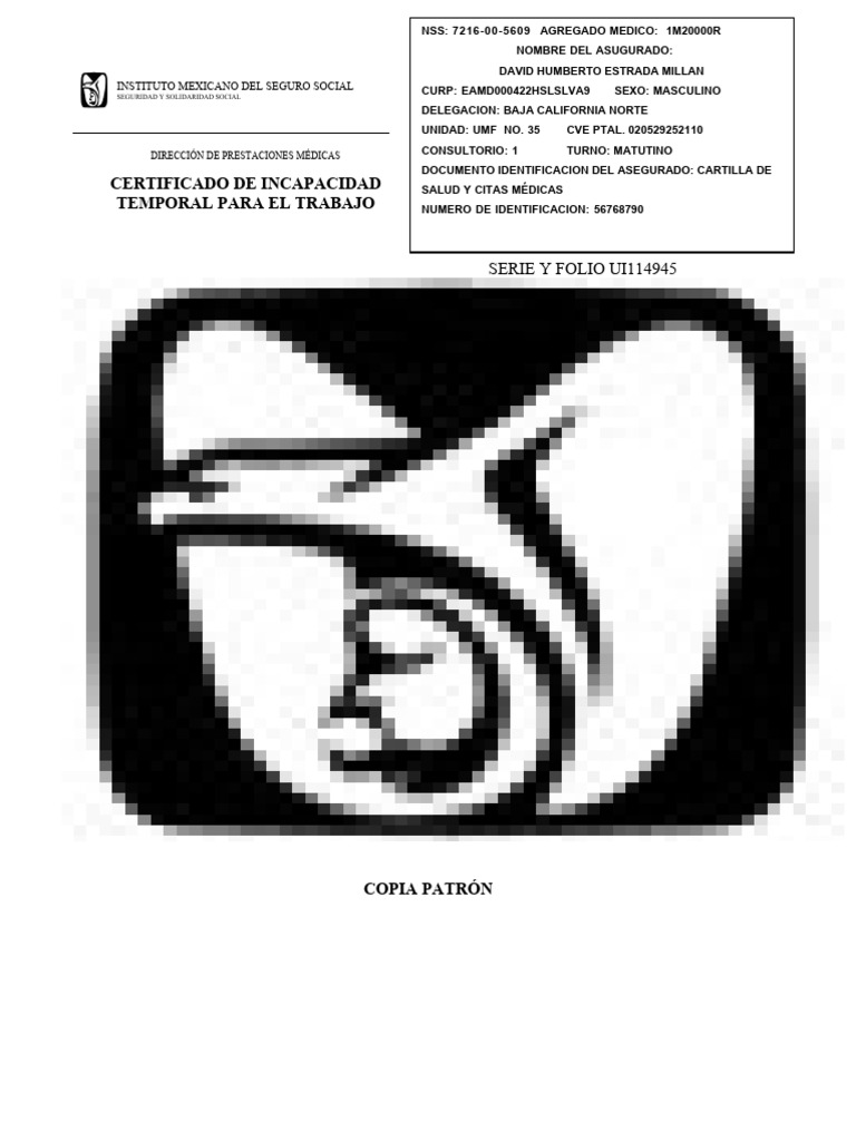 Formato Incapacidad Imss Editable Word | PDF